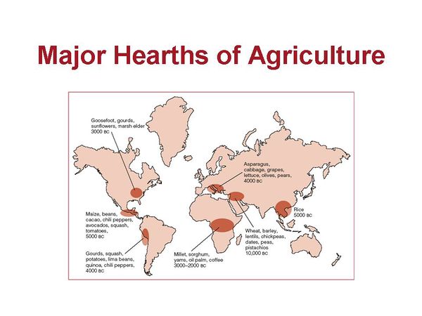 Turning Point - Neolithic Revolution - LearnSocialStudies
